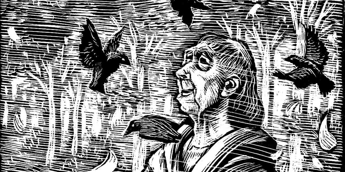 The Legend of the Christmas Rose by Selma Lagerlöf