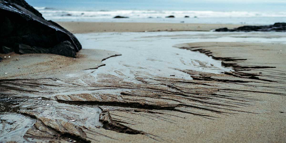 The End of the World as We Know It by Ragan Sutterfield