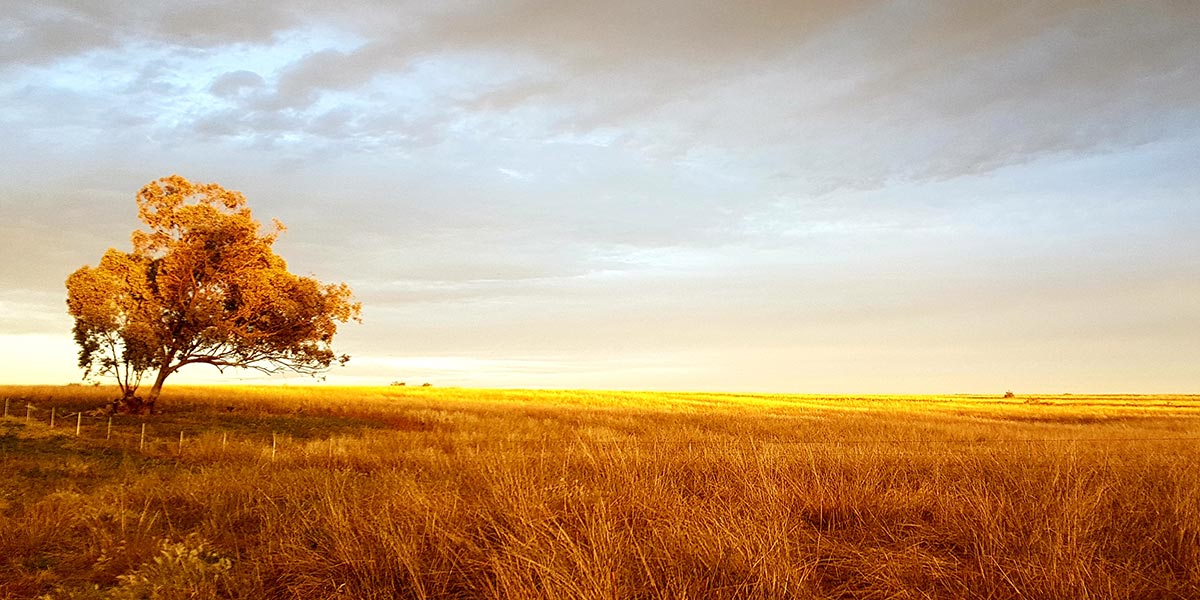 The Final Round: A Christmas Story by Chris Voll