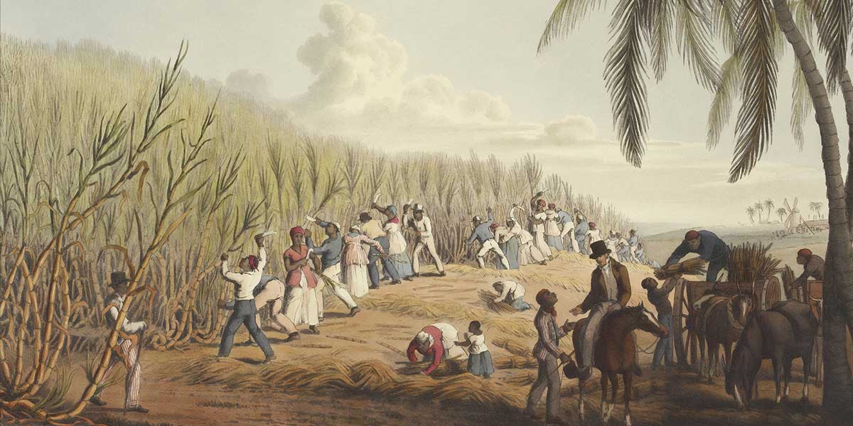 Wesley, Whitefield y la fuerza disruptiva del evangelio por Ian Olson