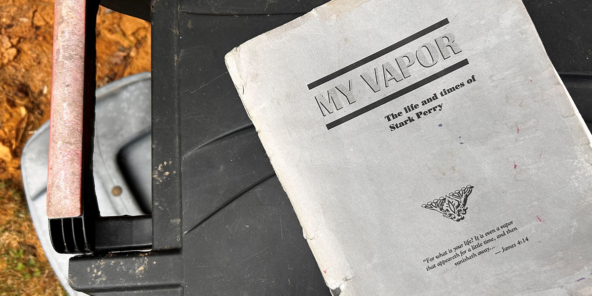 Stark Perry und ich von Chelsea Boes