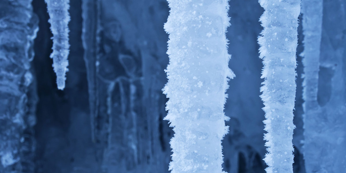 Plough Editors’ Favorite Articles on plough.com 2025