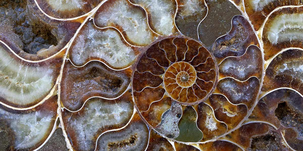 Book Tour: World Enough and Time by Phil Christman