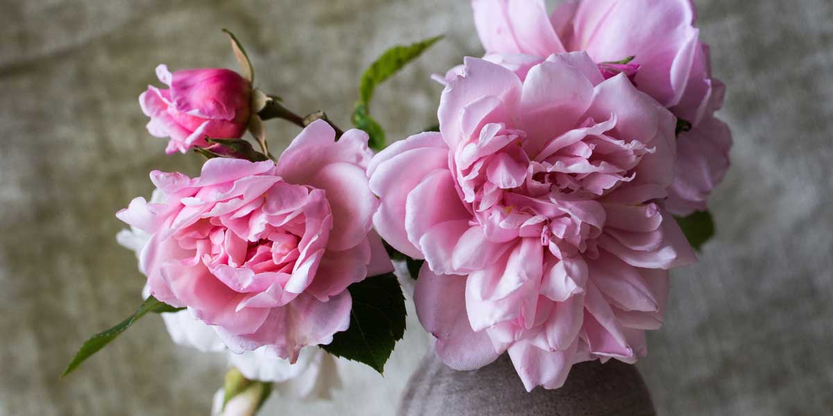 Pensées pour la saint Valentin