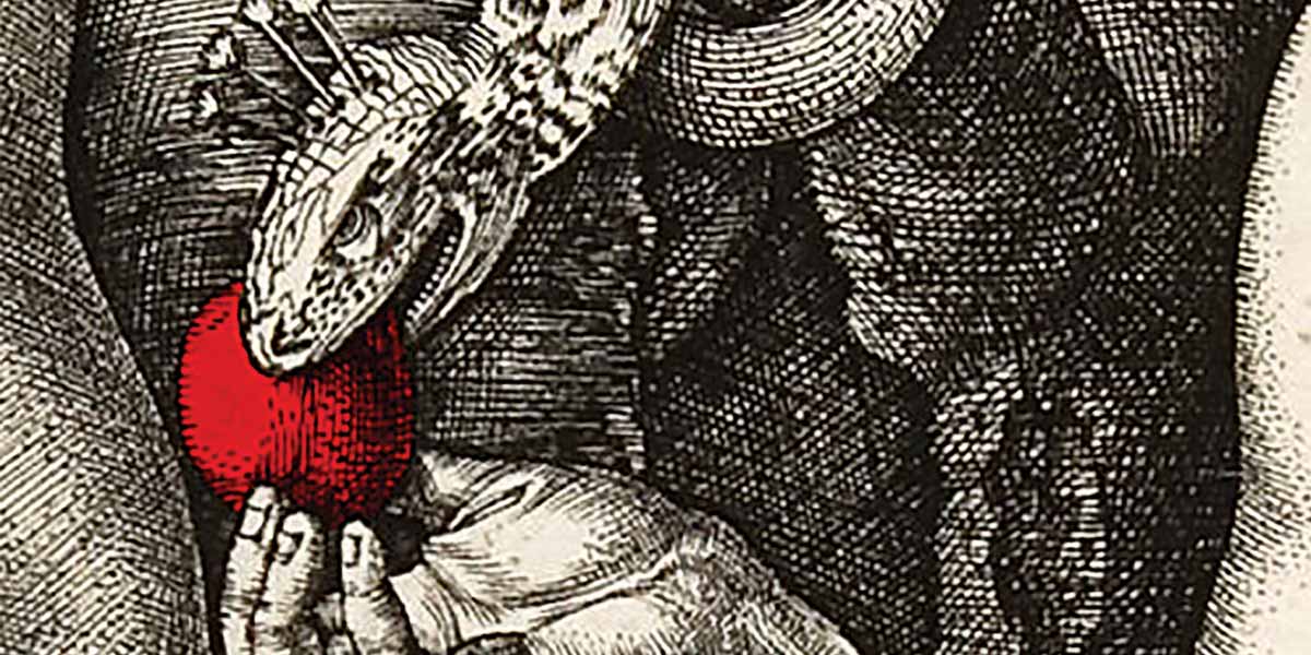 The Immortality Machine: Transhumanism and the race to beat death by ...