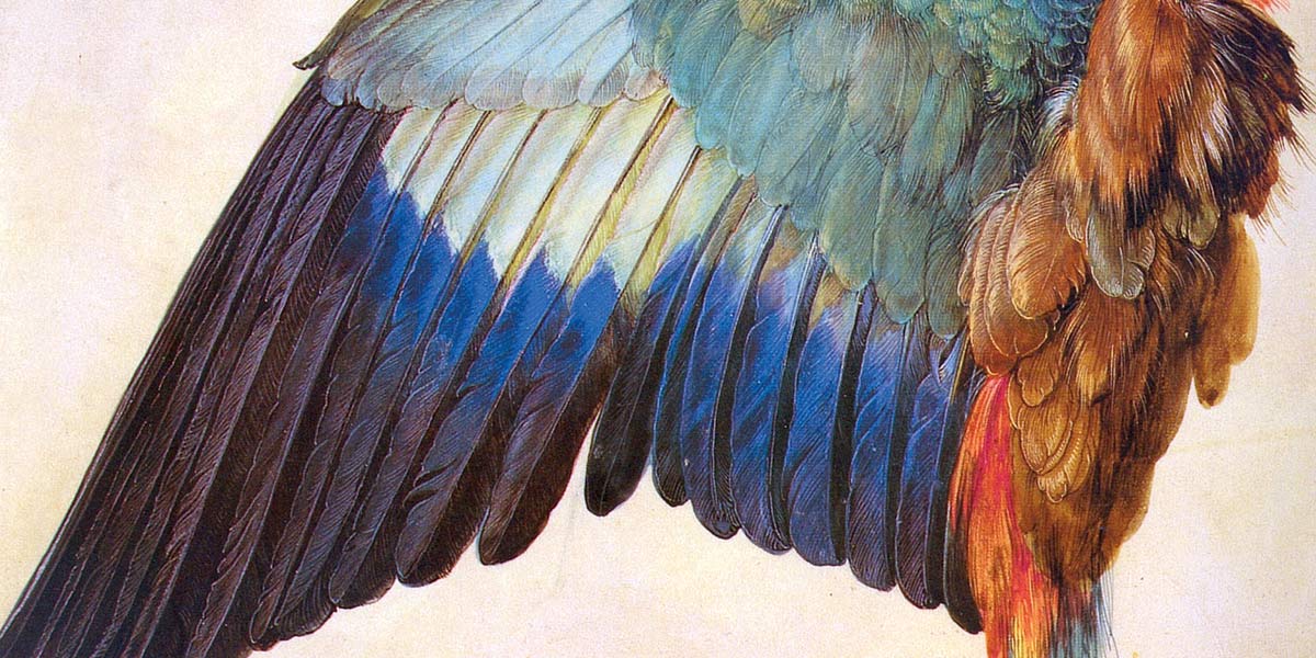 Der Kreaturen Kummer von Peter Mommsen